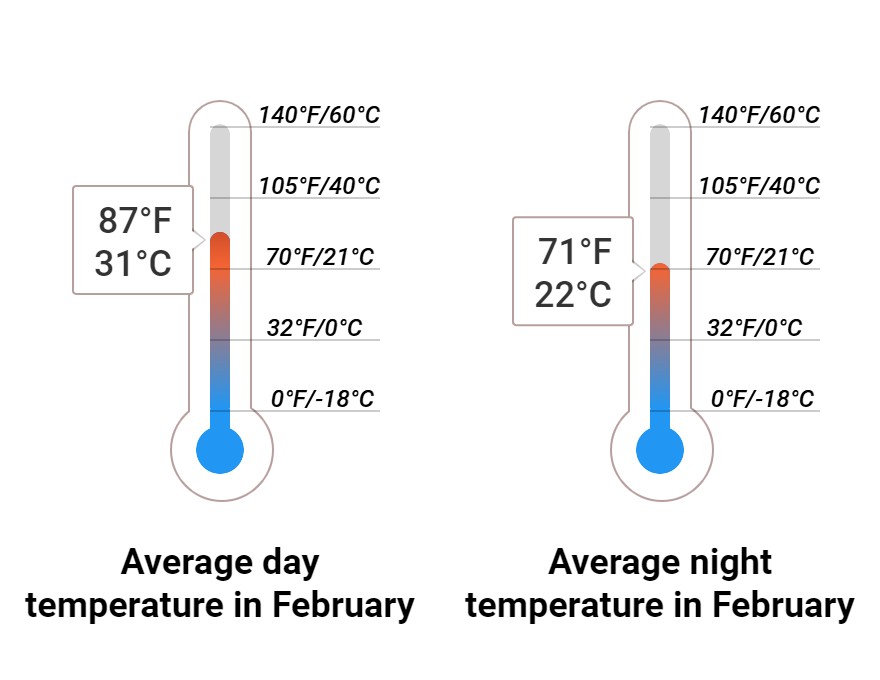 What to do in February in Aruba – 2026 – Winter Sun Expert