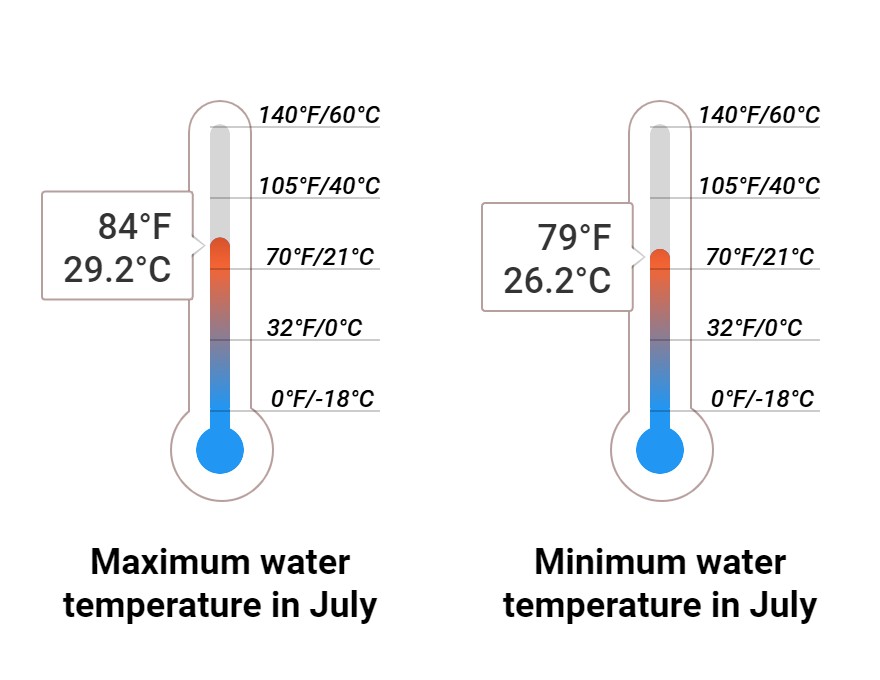 What to do in July in Georgetown, South Carolina – 2026 – Winter Sun Expert